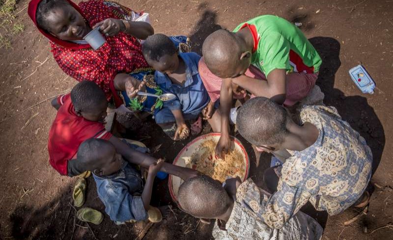 Global Hunger Levels Rise for Third Year Running - UN - allAfrica.com