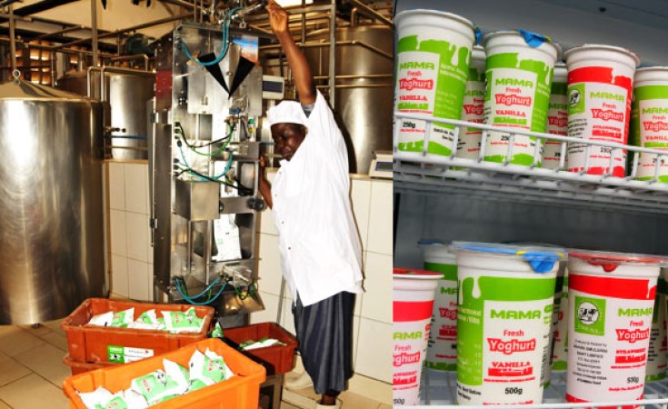 Uganda: What It Takes to Invest in Yoghurt Production - allAfrica.com