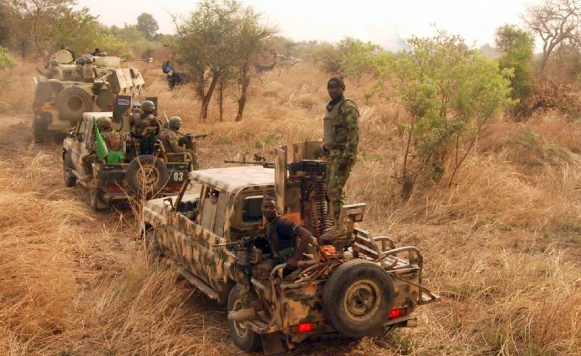 Nigeria: Army Declares Sambisa Forest Global Tourist Centre - allAfrica.com