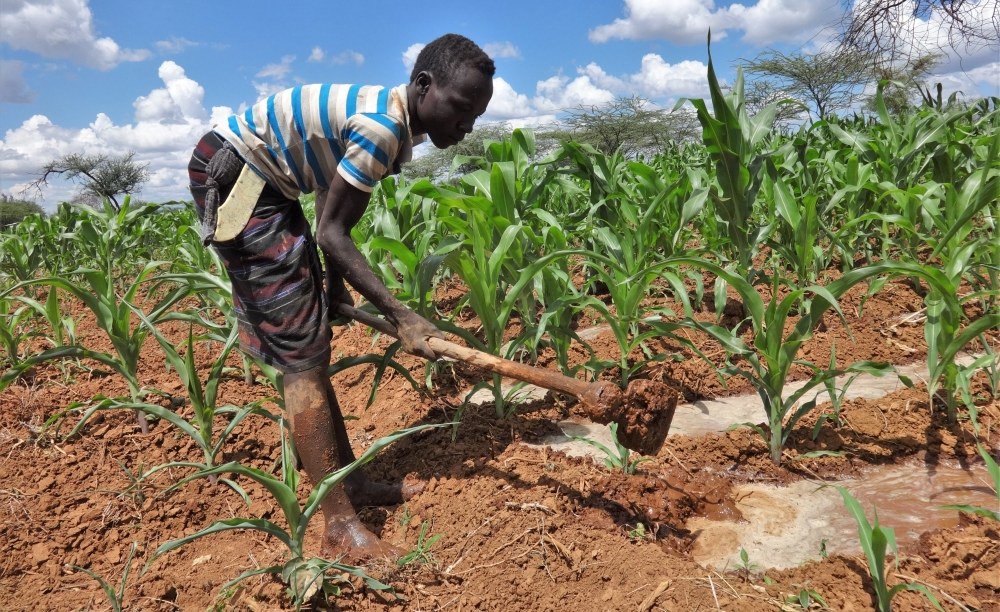 why-technology-will-disrupt-and-transform-kenyan-agriculture