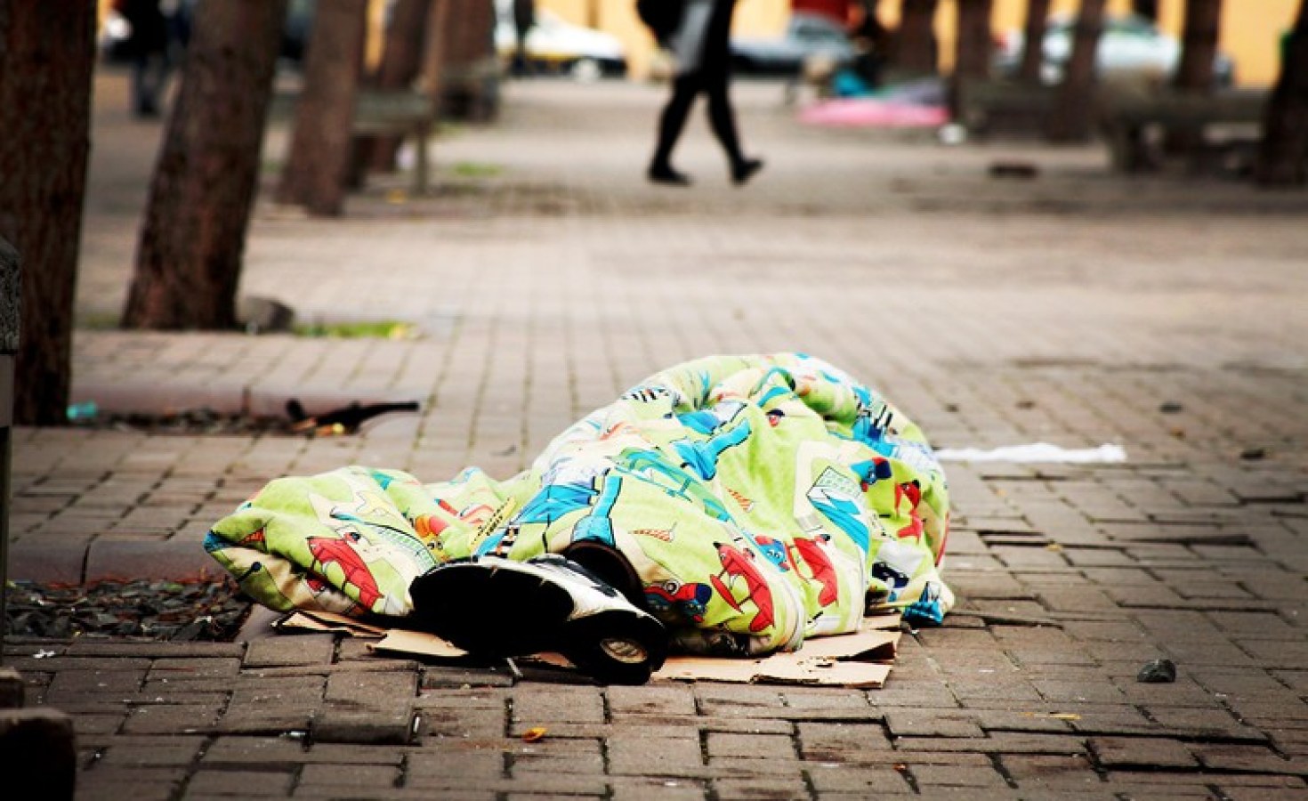 South Africa: Cape Town to Be More Accommodating Towards Homeless ...