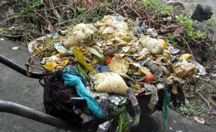 Congo-Kinshasa: Kinshasa Is Drowning in Waste - allAfrica.com