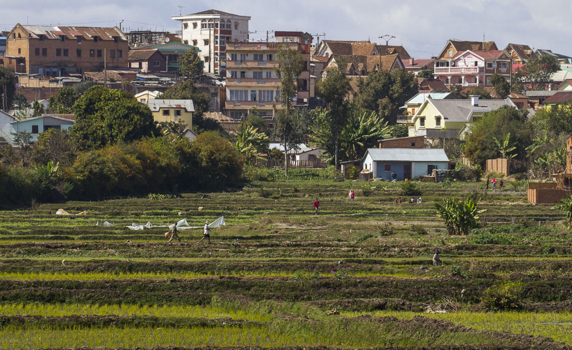 Madagascar: Postcard From Madagascar - Sustaining Nature's Riches ...
