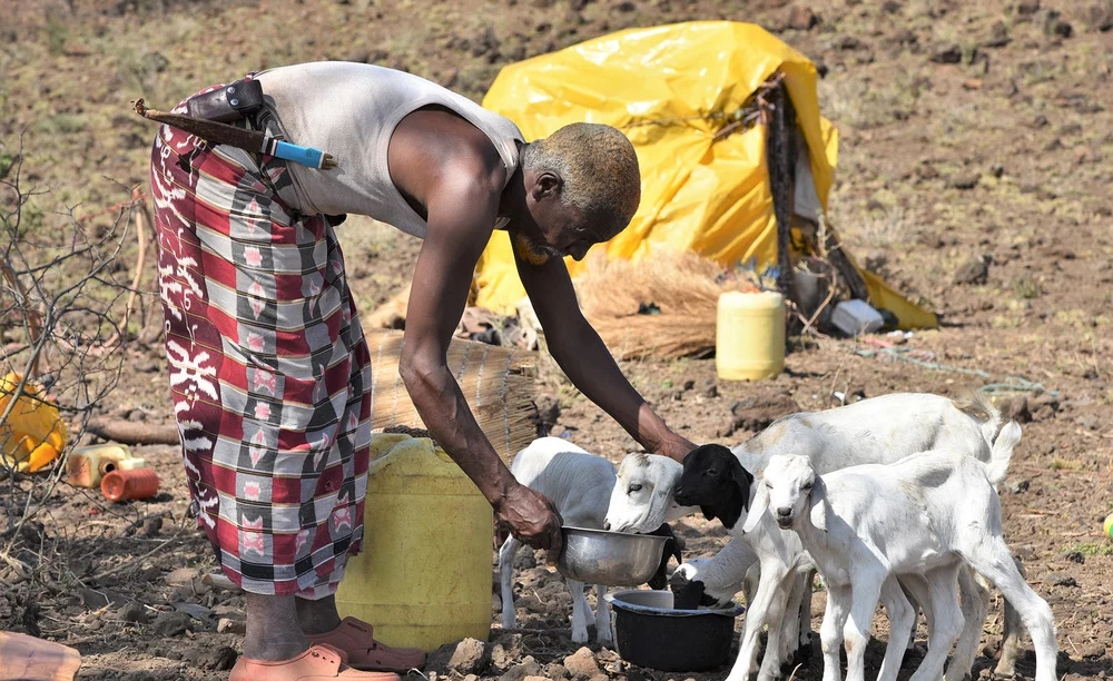 #AfricaClimateCrisis Intensifying Heatwaves - UN Warns - allAfrica.com
